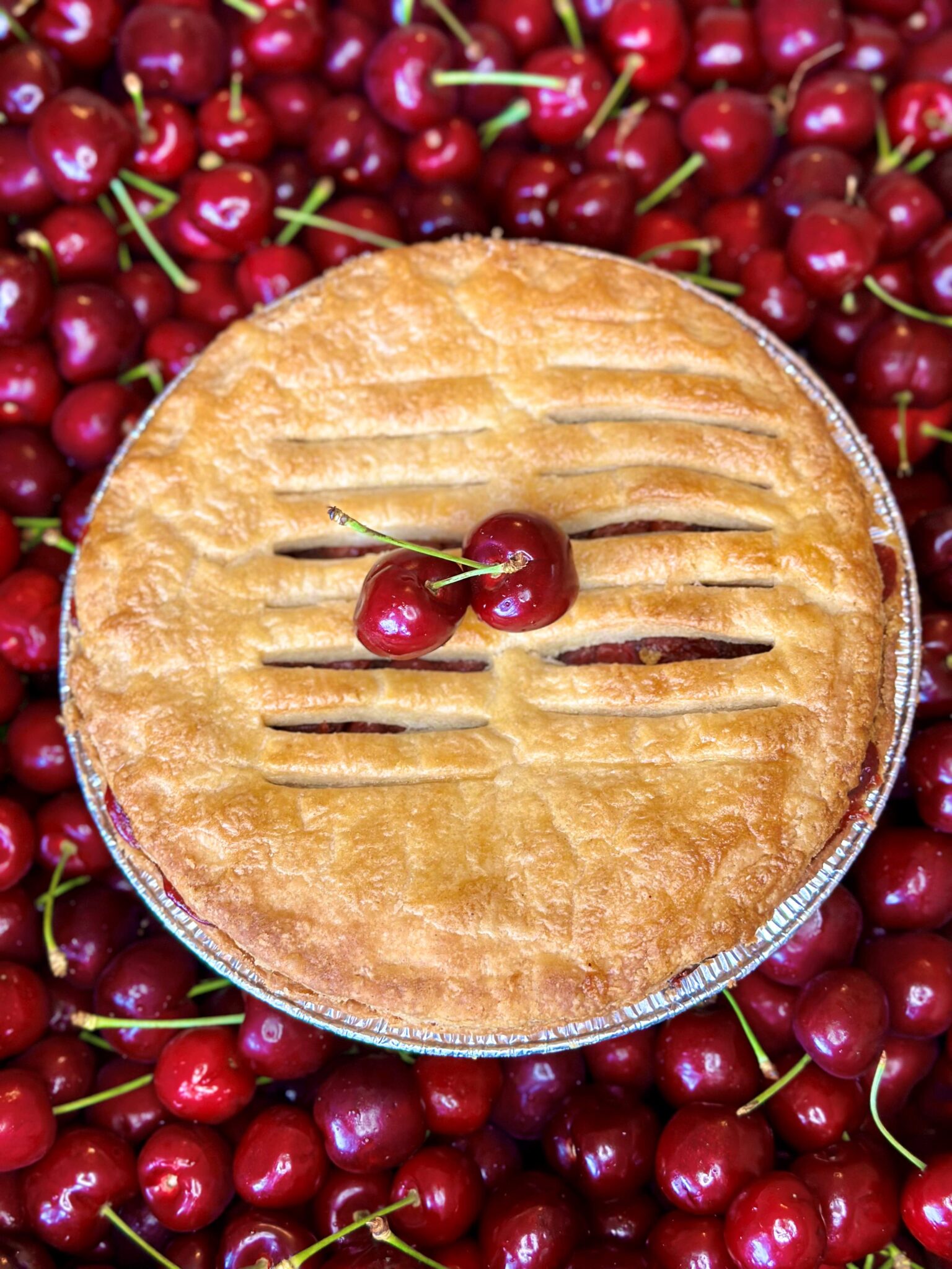 Cherry Days - Boa Vista Orchards